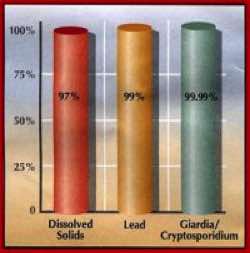 Reverse Osmosis Water Purifiers | Information